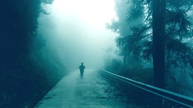 How to Make a Book Trailer with Examples & Free Templates - Animoto