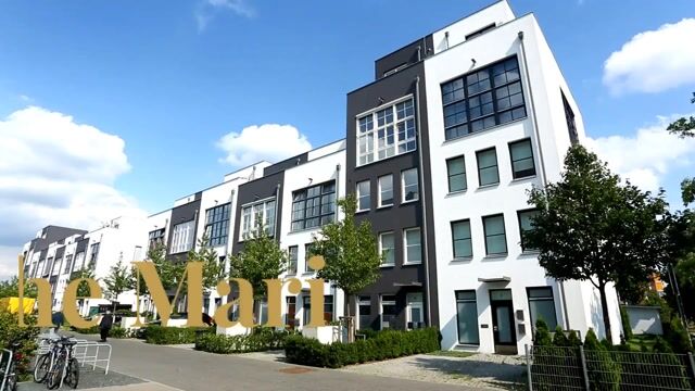 How to Make a Vlog in 5 Easy Steps - Animoto